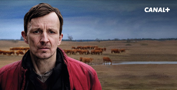 Metro Internet - Internet, telewizja, telefon